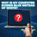 Why Is My Computer Screen Blue Instead Of White? - 76 Services Ltd